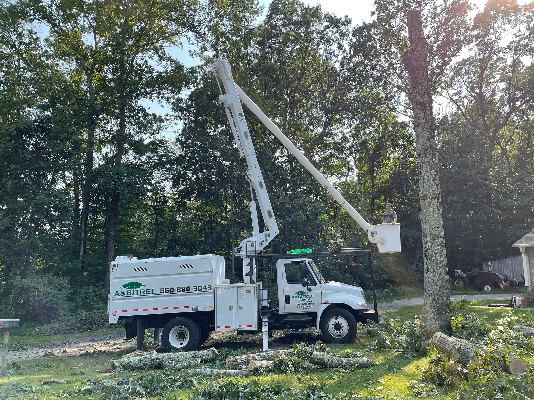 A&B Tree Service | Tree Removal Services in Connecticut