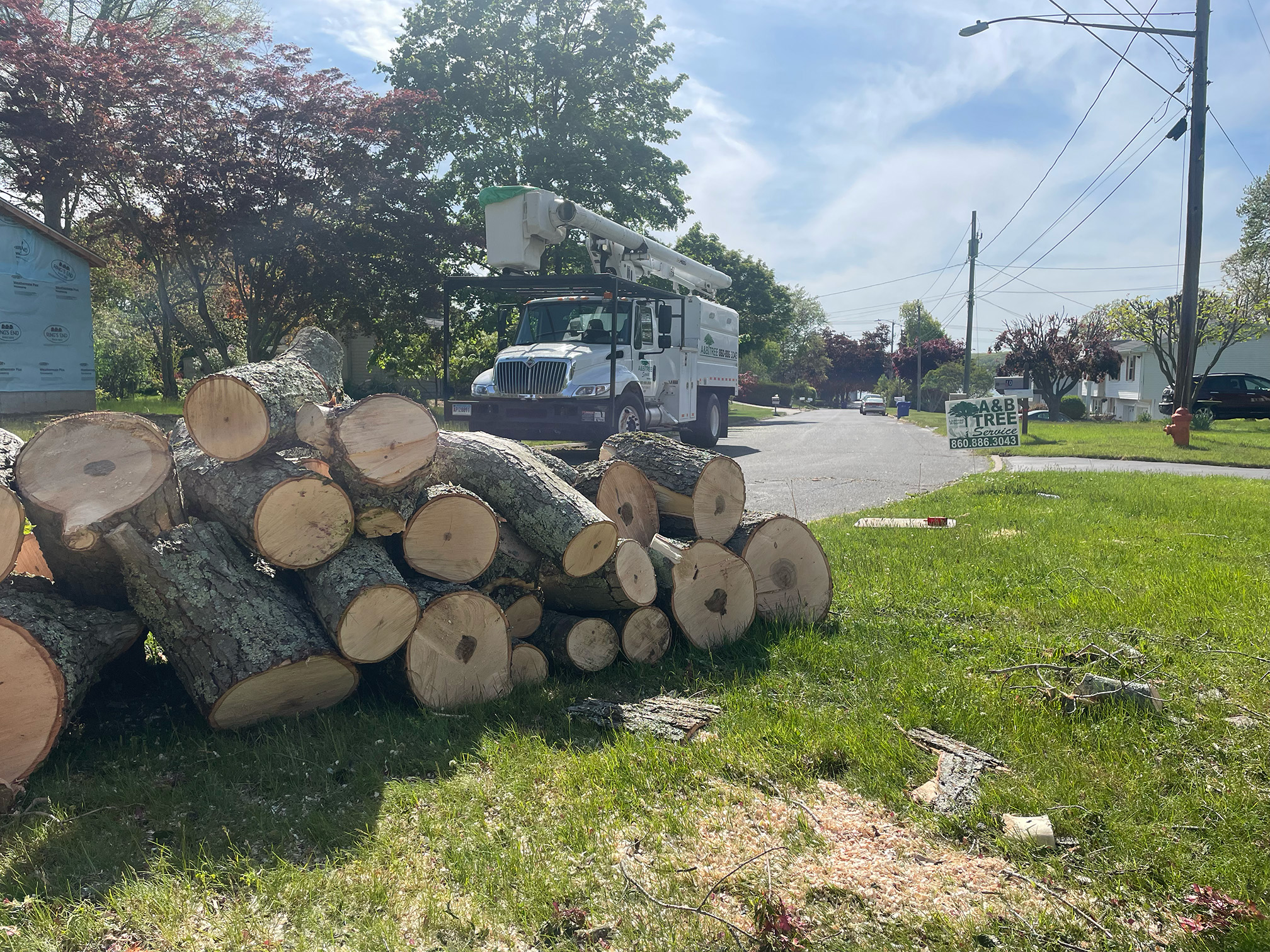 A&B Tree Service | Tree Removal Services in Connecticut