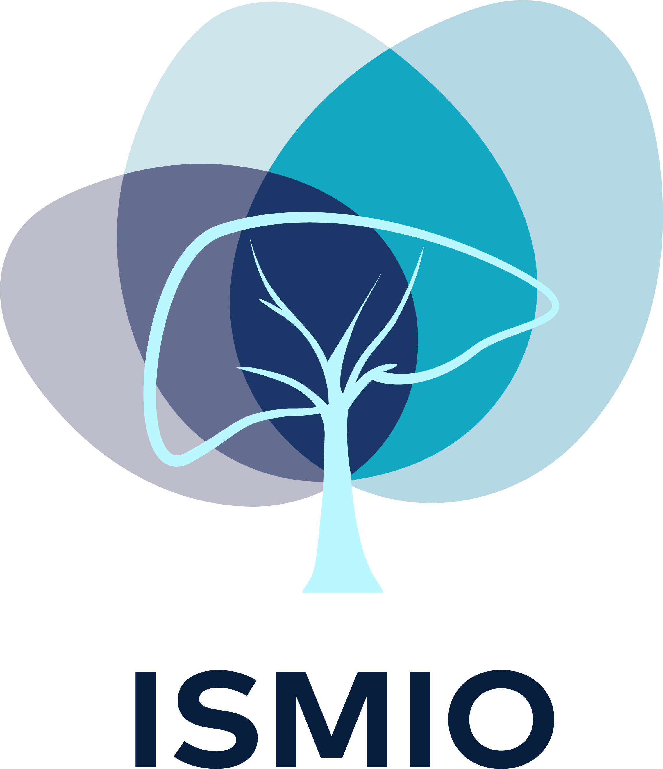 ISMIO : International Society of Multidisciplinary Interventional Oncology