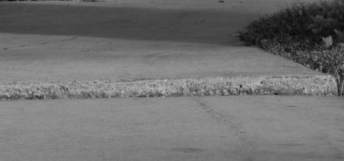 Trip Hazard Removal | Footpath Repair - safefootpaths.com.au