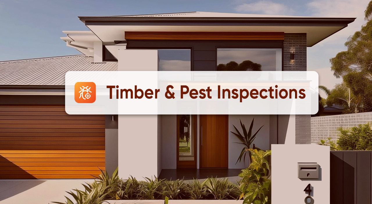 Timber Pest Inspection - Pest Management App
