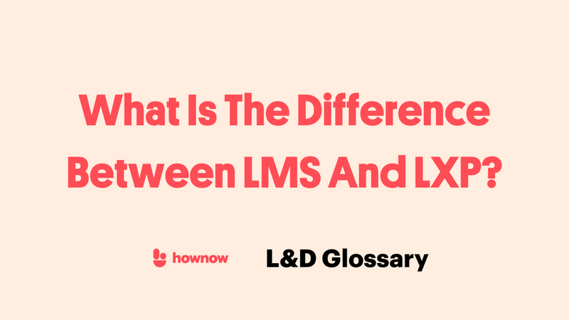 What Is The Difference Between LMS And LXP?