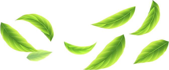 Expert Tree Services Sydney | Ultra Tree Services