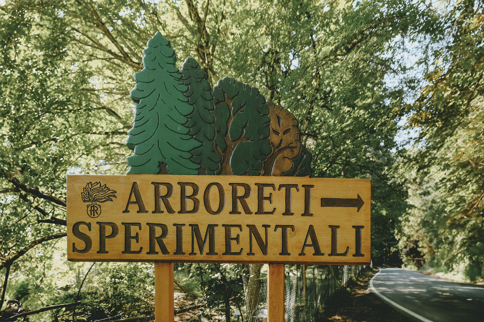 Arboreto Monumentale | Hotel Rifugio La Foresta, Vallombrosa (FI ...
