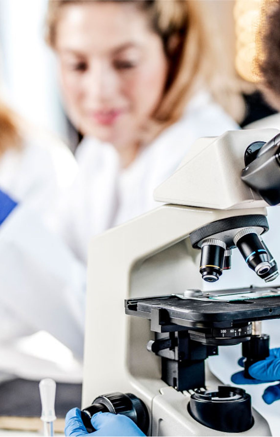 Syntropy | A Catalyst for Collaboration