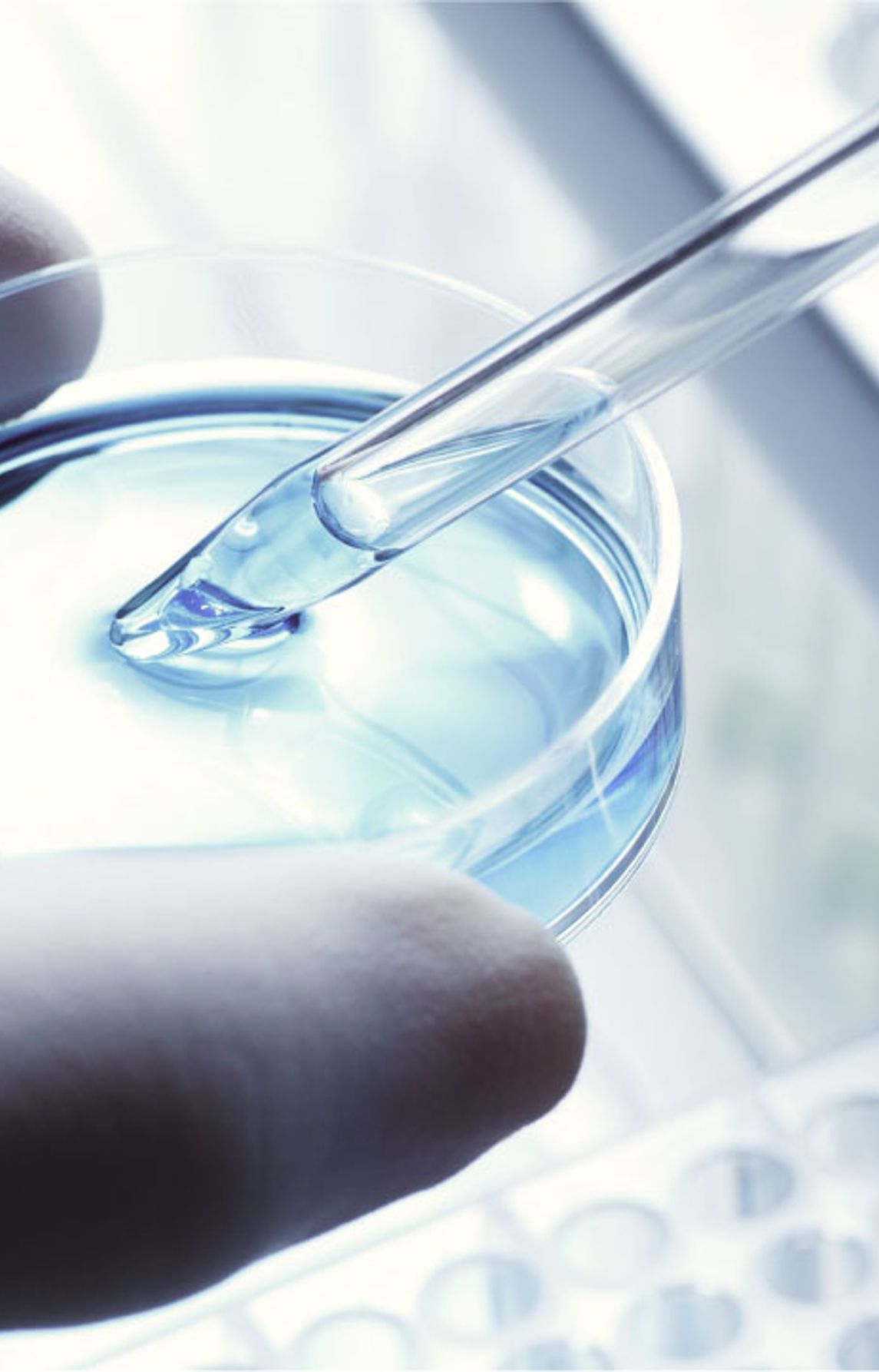 Syntropy | A Catalyst for Collaboration