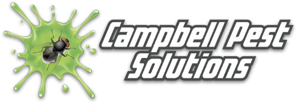 Campbell Pest Solutions | Pest Control
