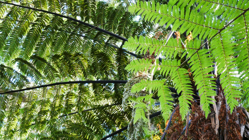 Resource Management Act Reform