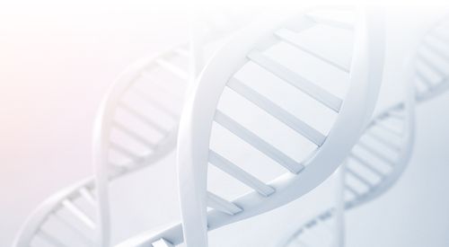 Insighta | Contact Us