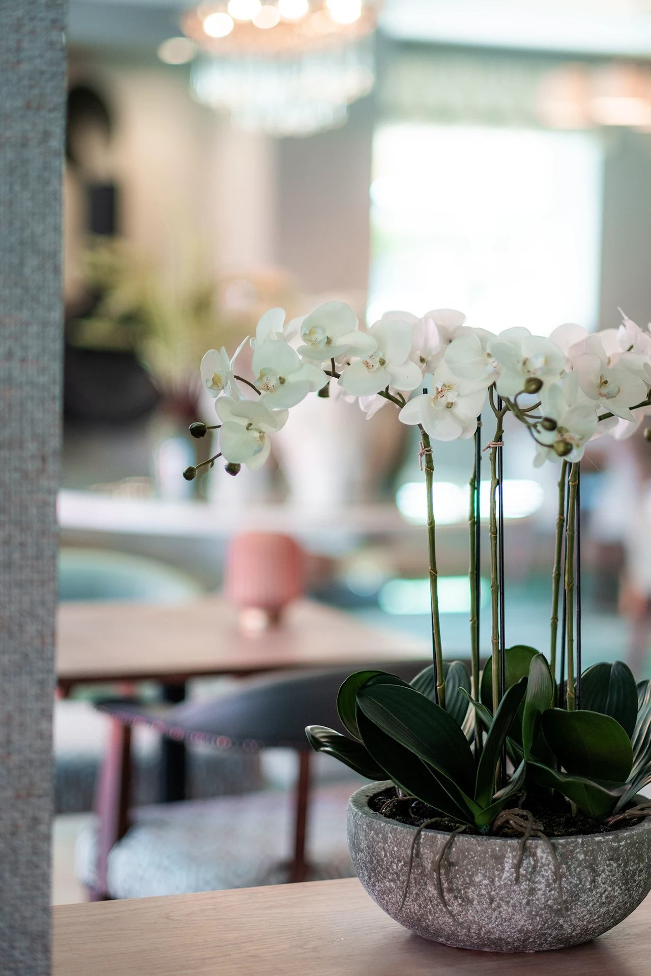 Indoor | The Ruddings | Braithwaite, Keswick | Dog friendly family run ...