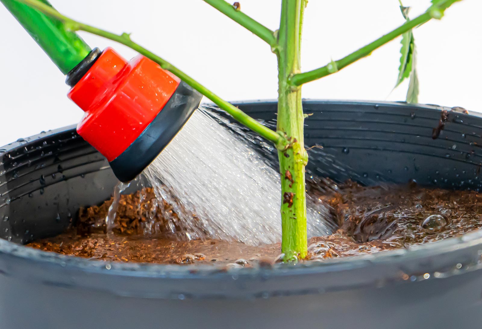 Blended Line | Fertilizer for Growers | Athena