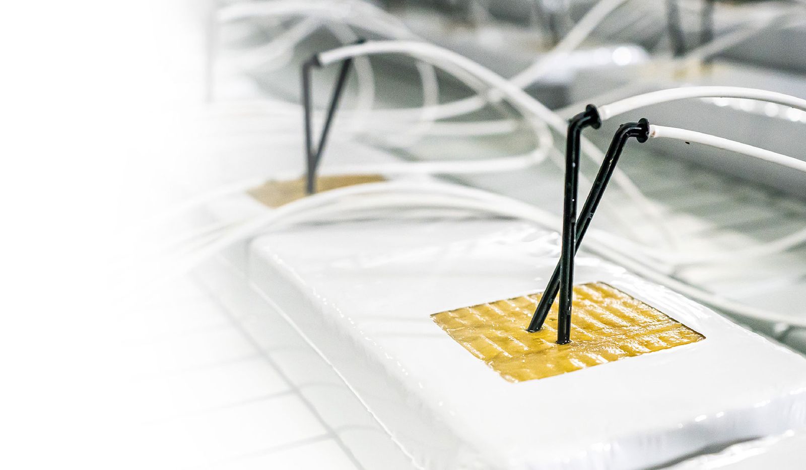 Athena IPM Line | Insecticide and Fungicide