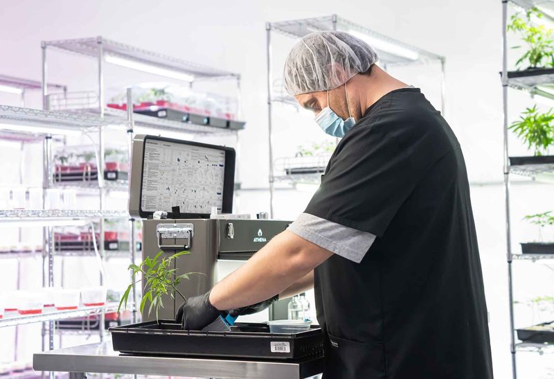 Culture Kit | Athena Product Lines for Growers