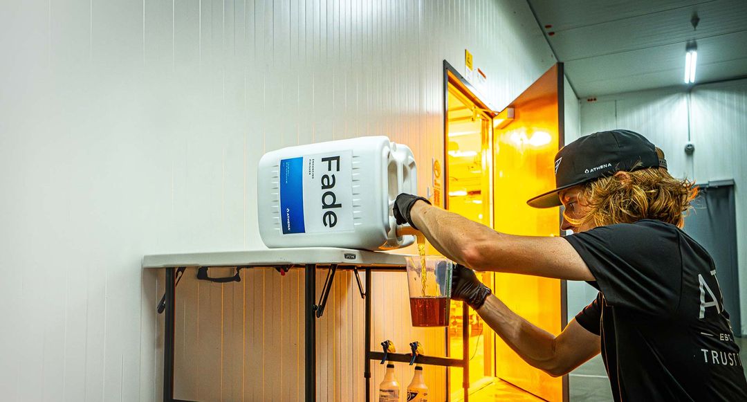 Fade | Flushing Products | Athena