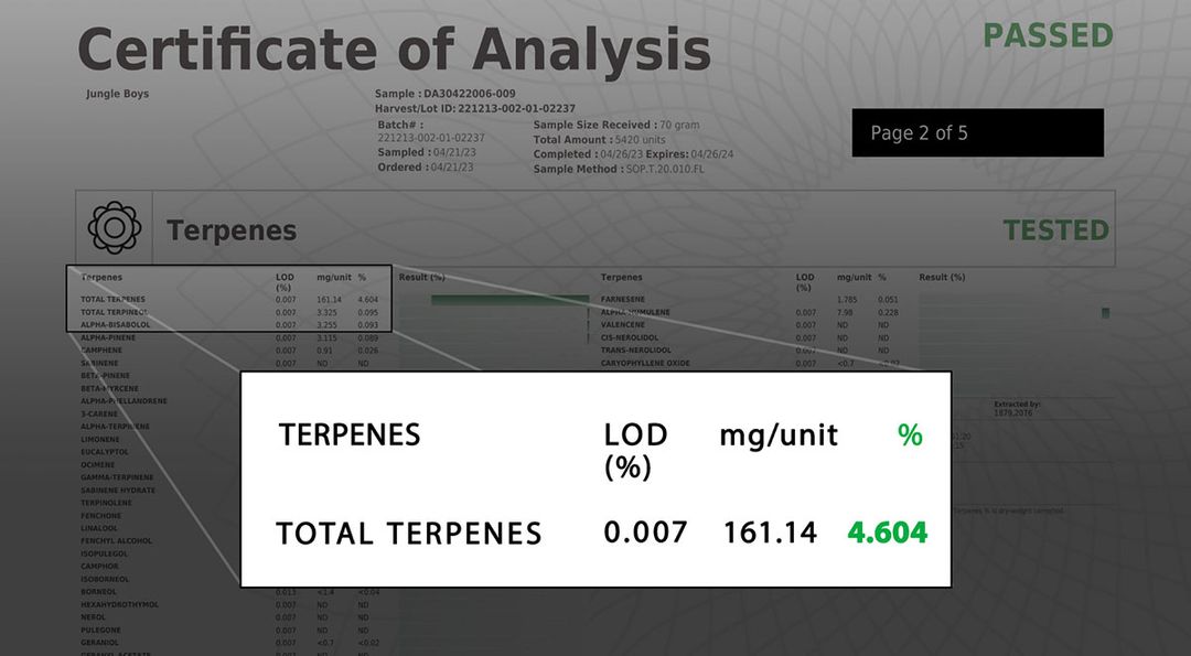 Fade | Flushing Products | Athena