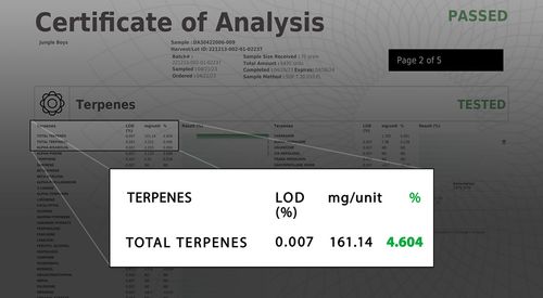 Fade | Flushing Products | Athena