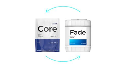Fade | Flushing Products | Athena