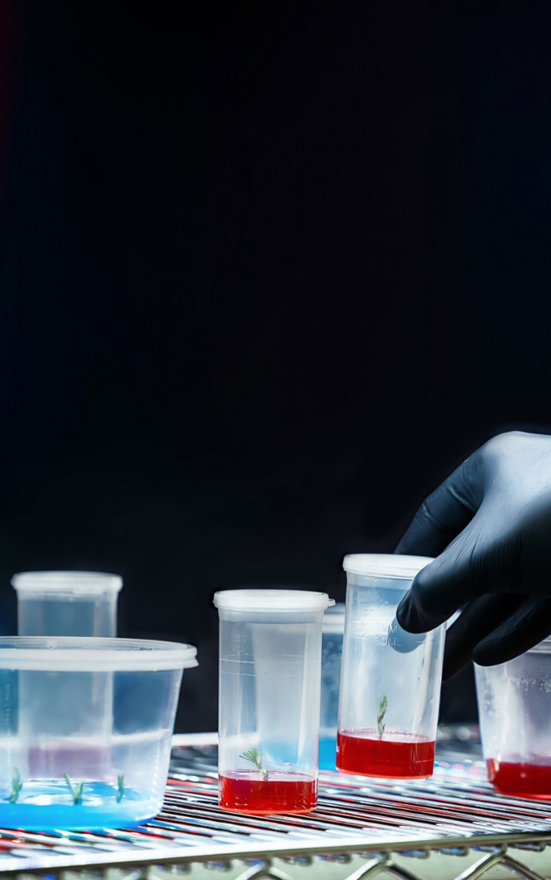 Culture Kit | Athena Product Lines for Growers