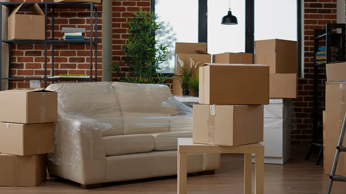 About | Doctor Move