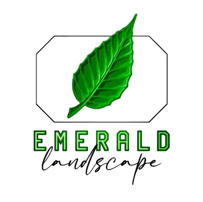Trusted Landscaping Company in Reno, NV | Emerald Landscape LLC