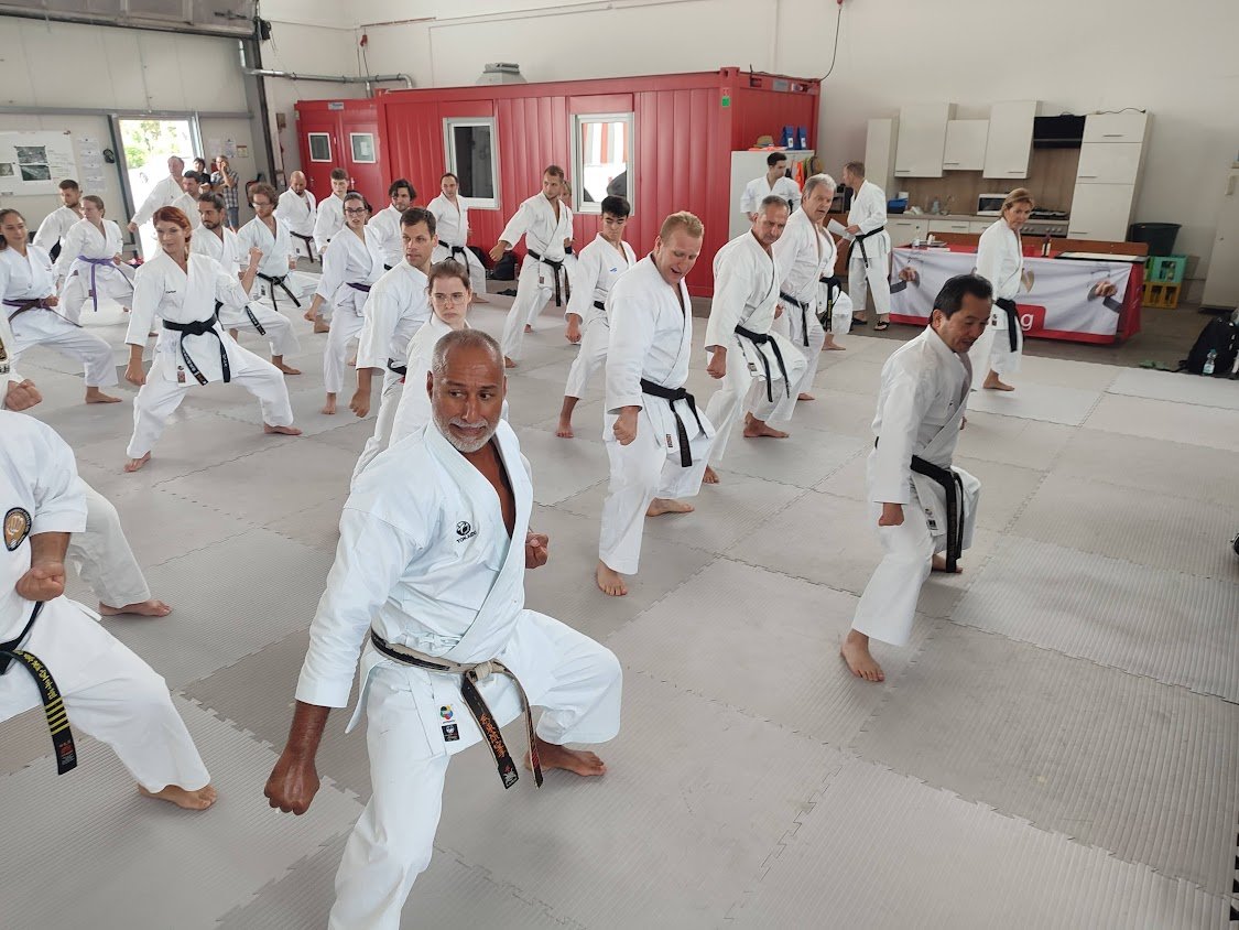 Streamline Your Karate Dojo Management with Martialytics: The Perfect ...