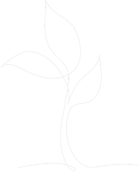 Quintessential: Commercial Real Estate, Property Development