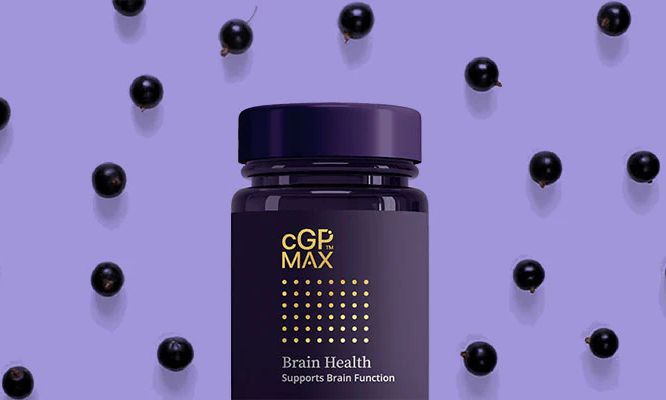 Website Design and Development company North Shore Auckland | Byte Media