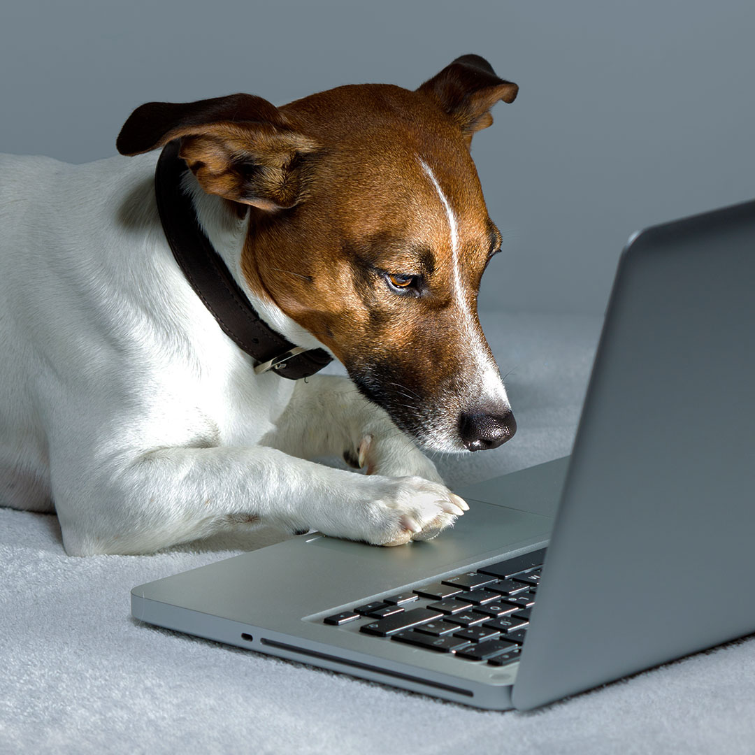 What's On | Nowra Mall