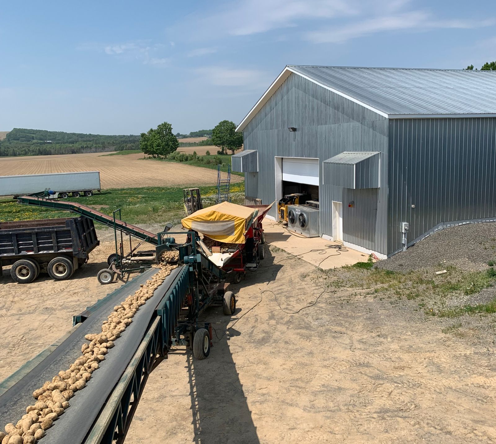 About Us | Cellar Insights: Next-Gen Potato Farming
