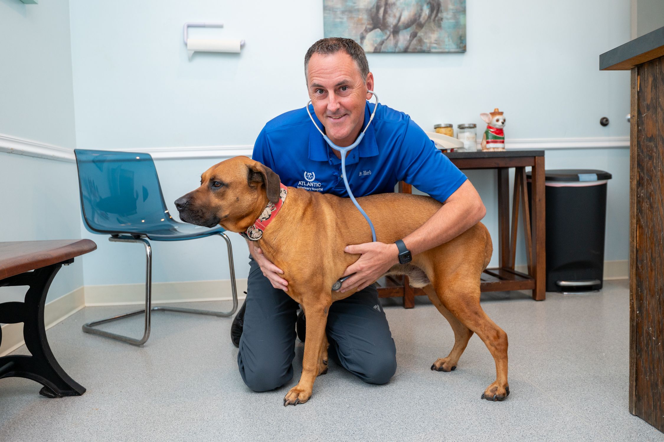 Family-Friendly Vet Hospital in South Jacksonville, FL | Atlantic ...