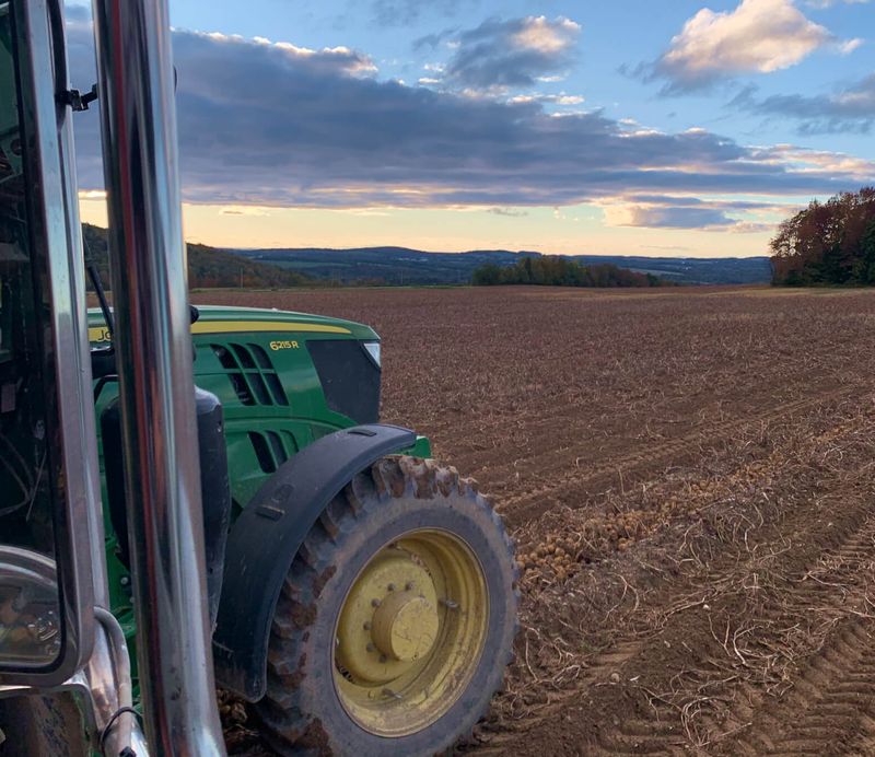 Cellar Insights | Smart Remote Monitoring for Potato Growers