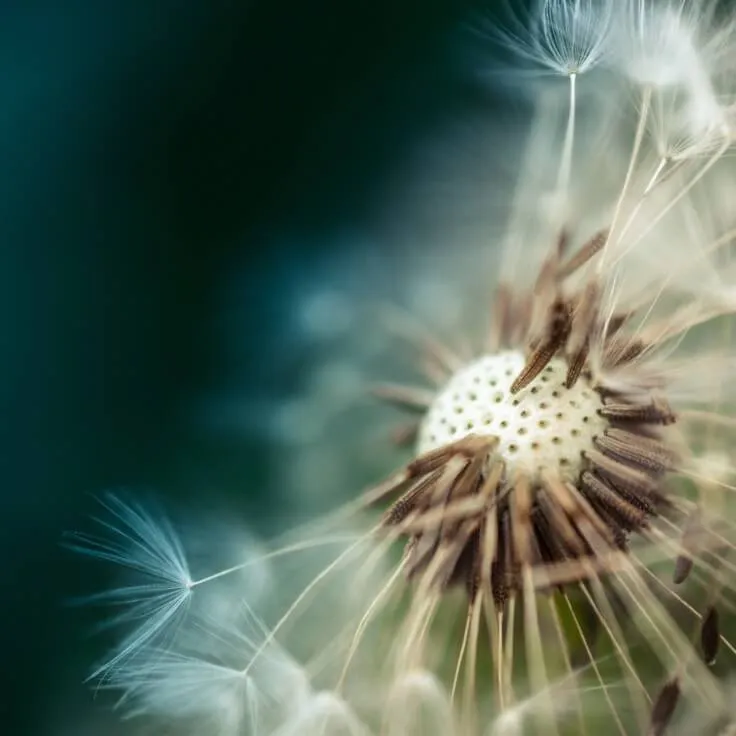 Prime Financial Services | Grow Your Wealth