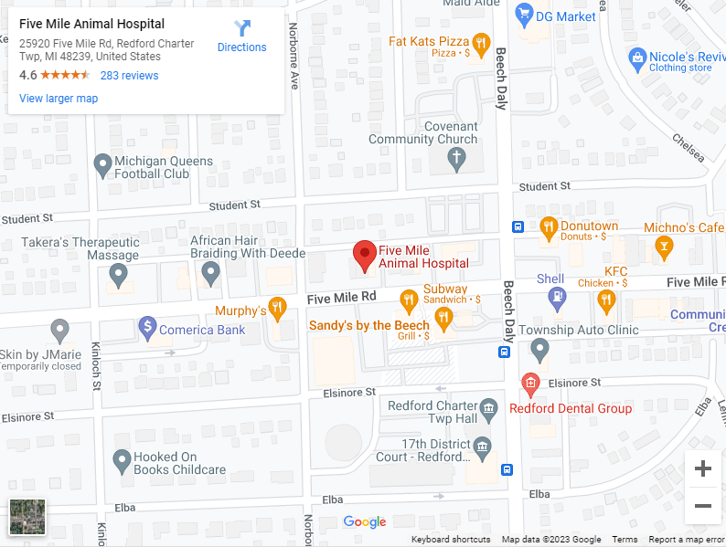 High-Quality Vet Hospital in Redford Township, MI | Five Mile Animal ...