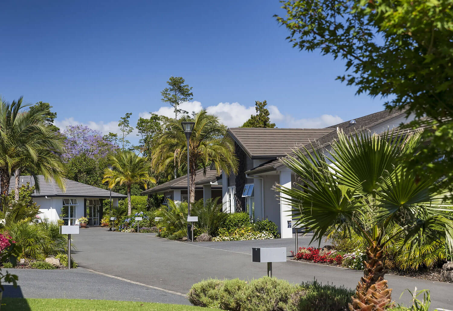 Metlifecare Oakridge Care Home, Kerikeri | Projects | Build Anatomy