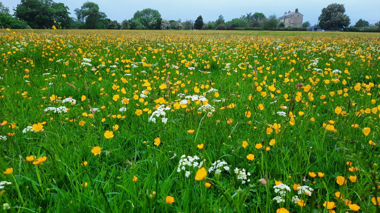 Doe Park Caravan Site - Our Wildlife