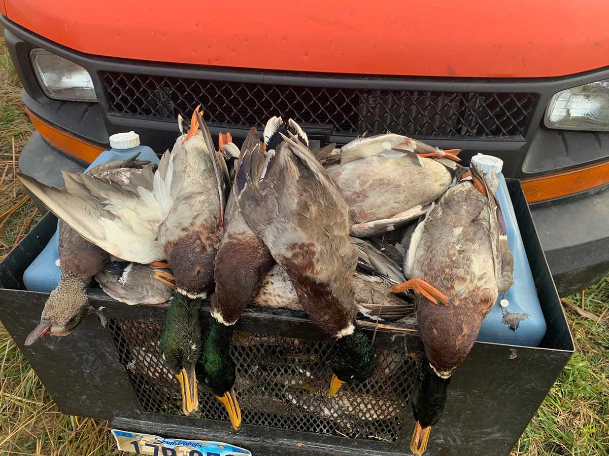 Duck & Goose Hunting - SD Outfitters Unlimited