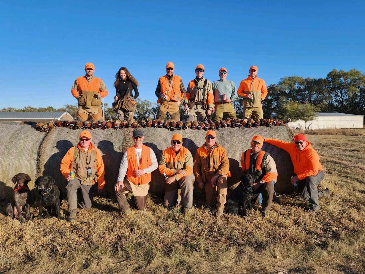 Pheasant Hunting - SD Outfitters Unlimited