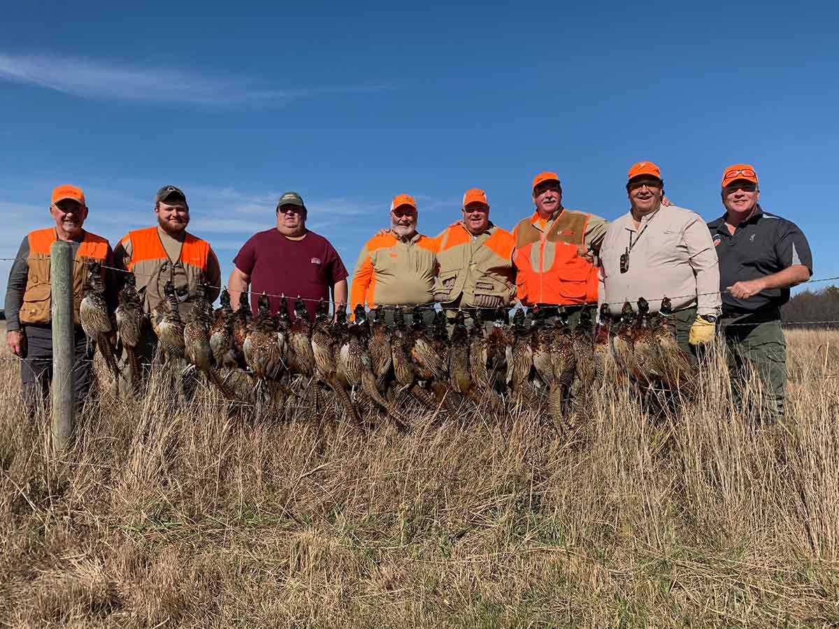 Pheasant Hunting - SD Outfitters Unlimited