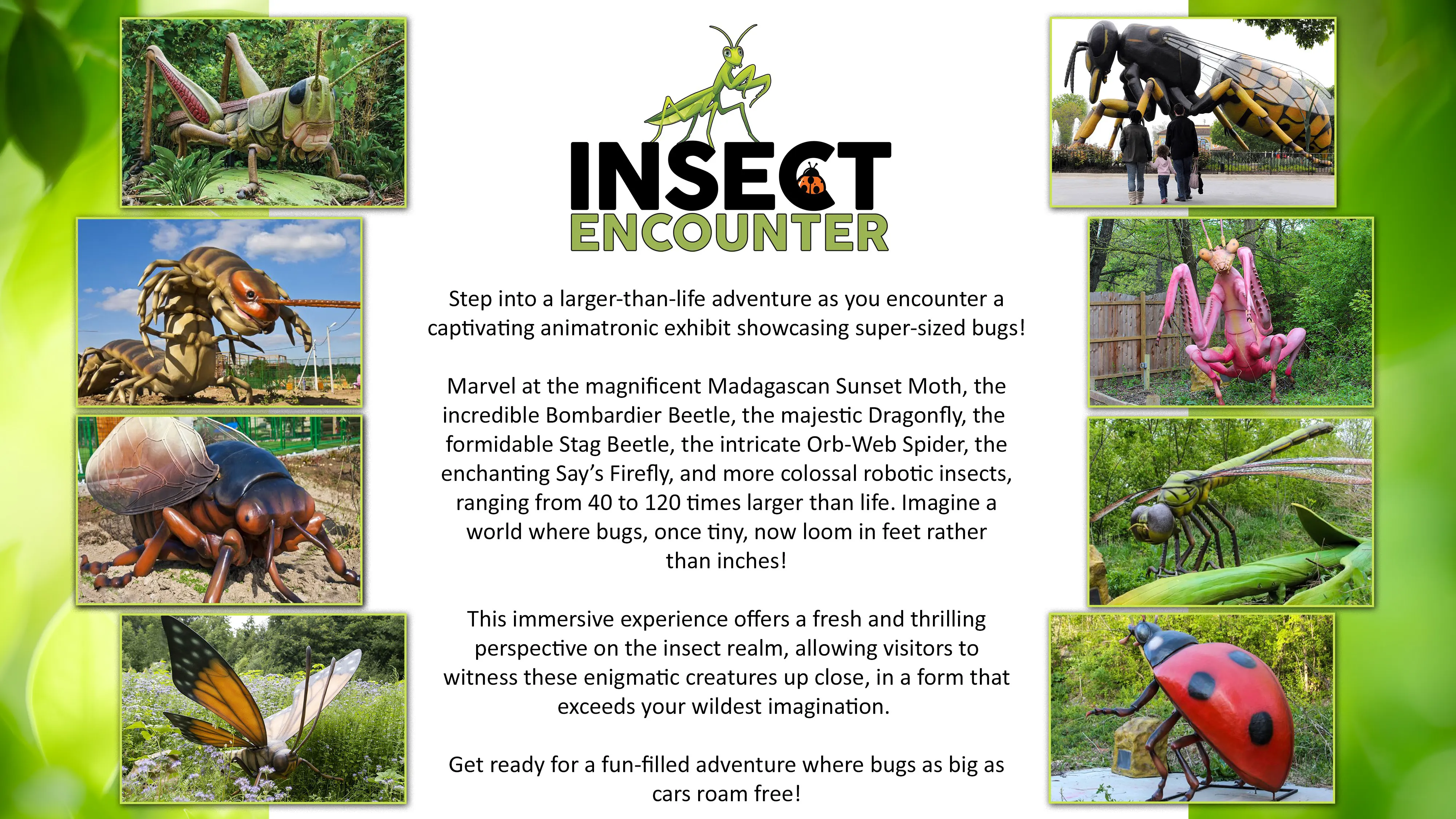 Exhibit - Insect Infestation