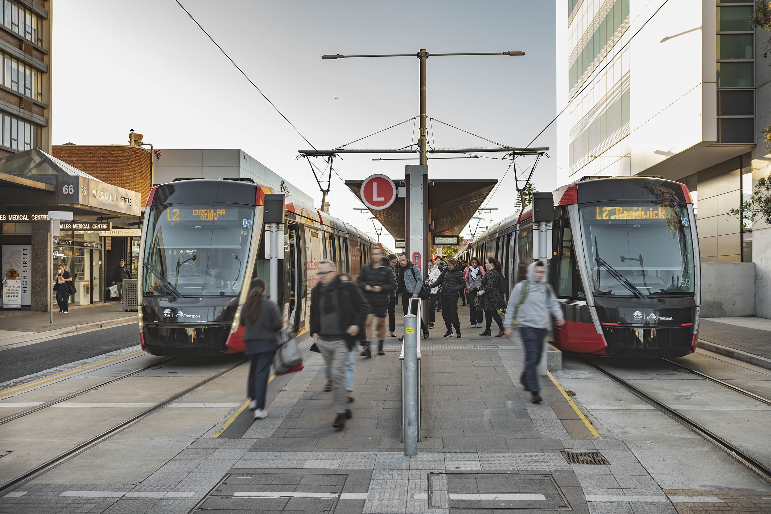 Health Translation Hub Randwick