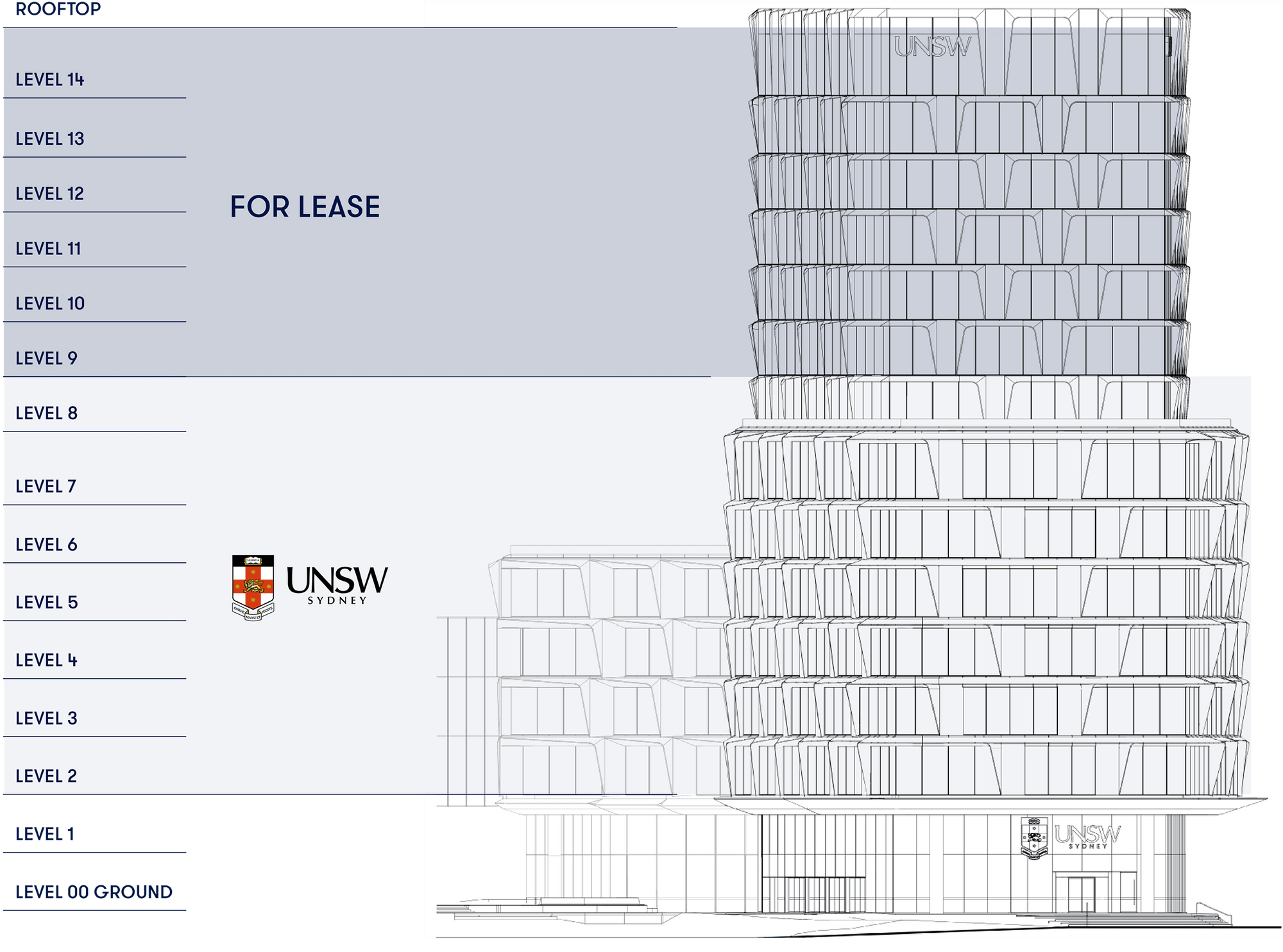 Health Translation Hub Randwick