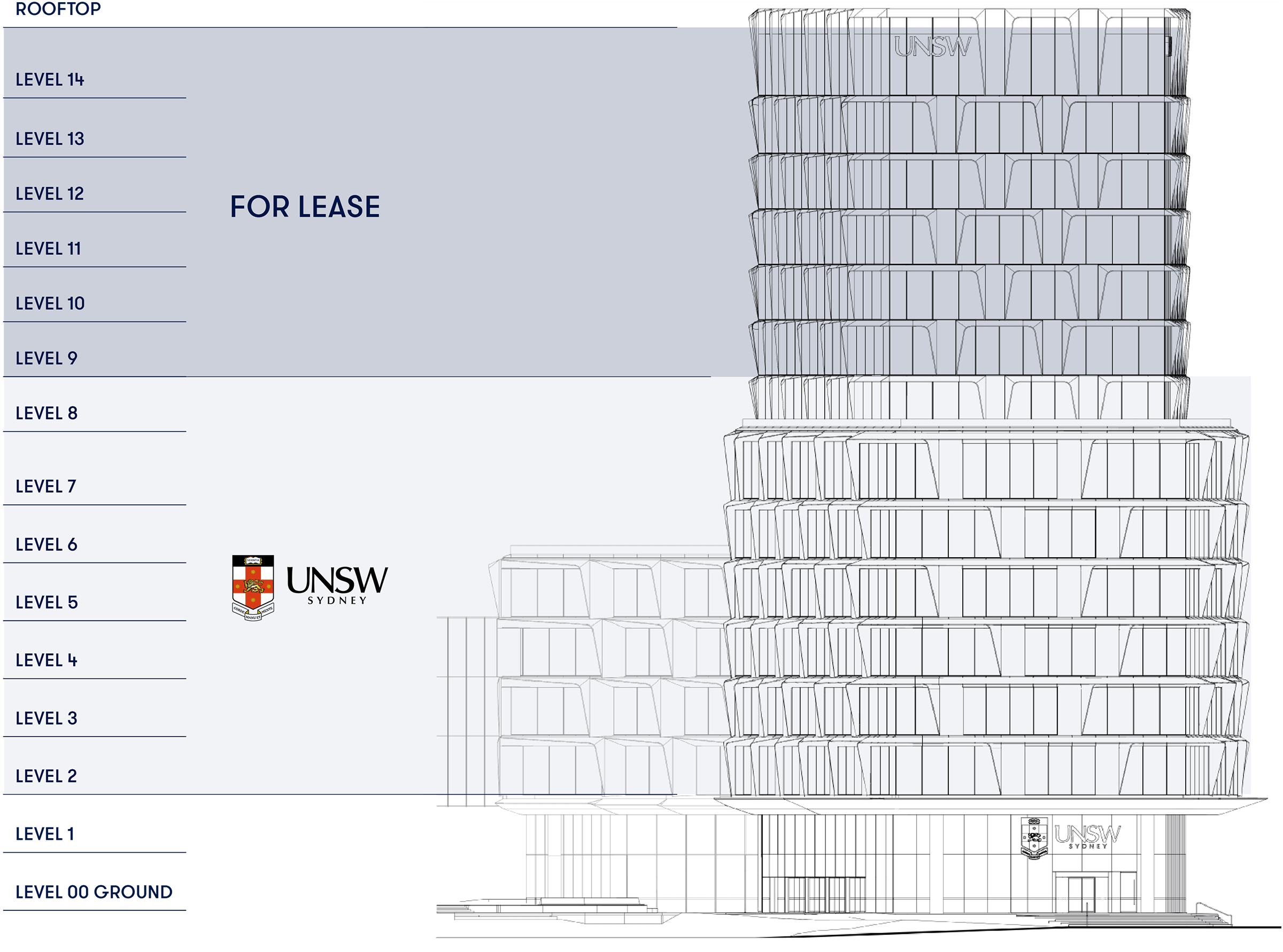Health Translation Hub Randwick