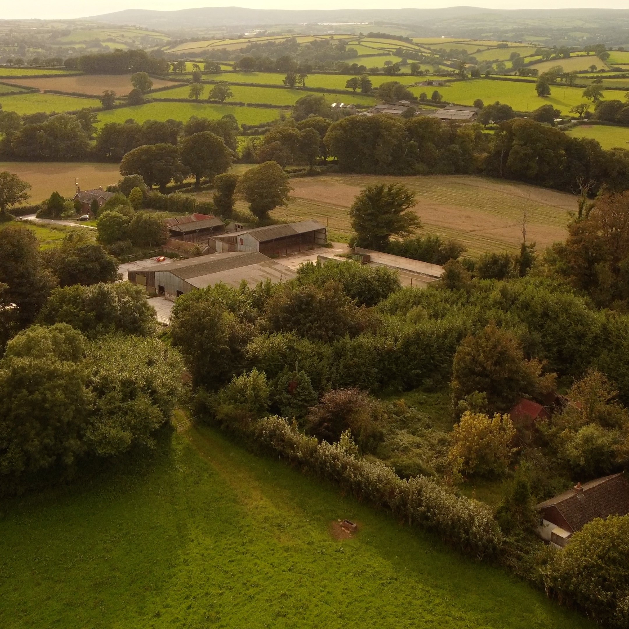 Bowden Pillars Future