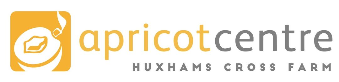 Bowden Pillars Future