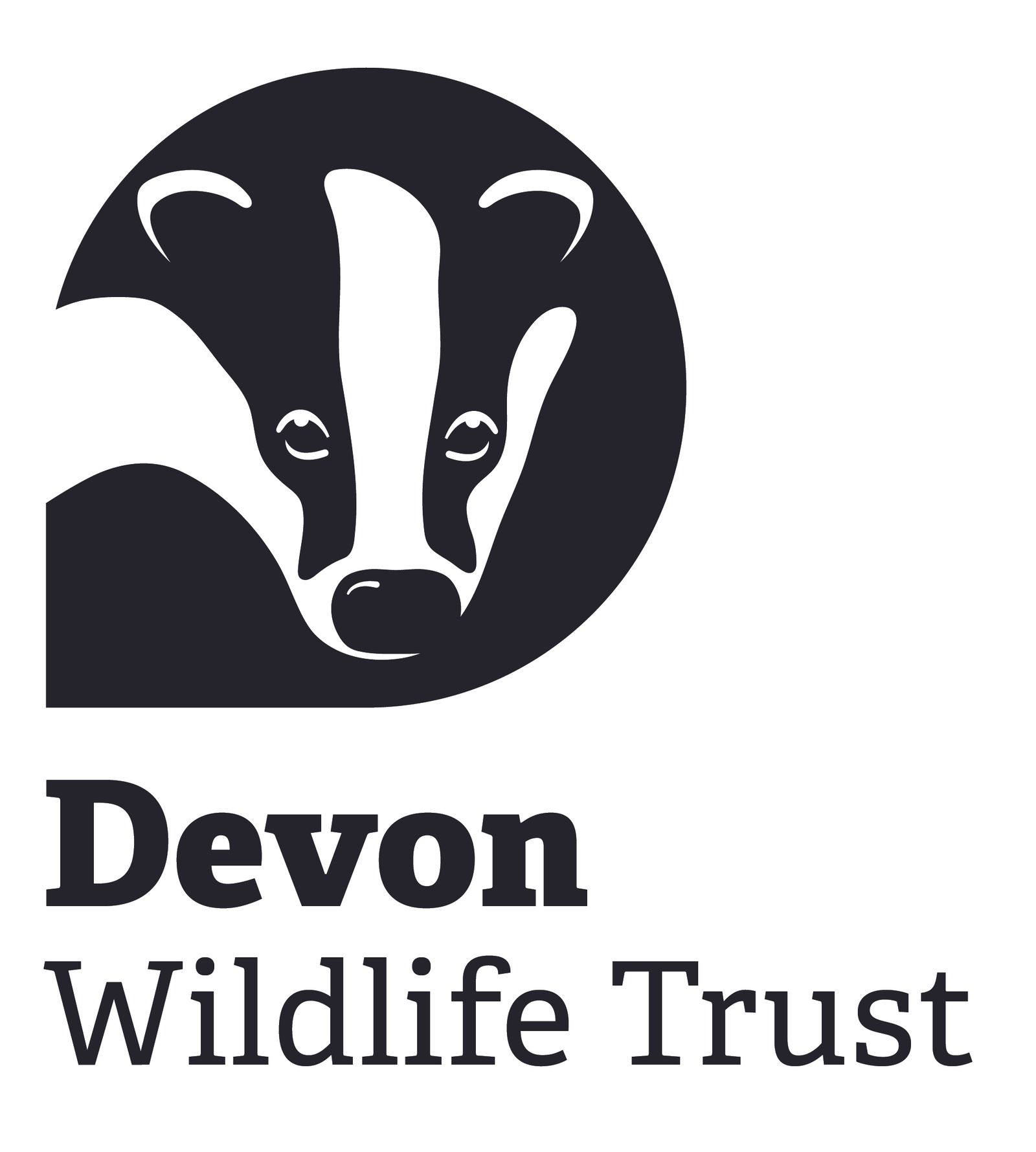 Bowden Pillars Future