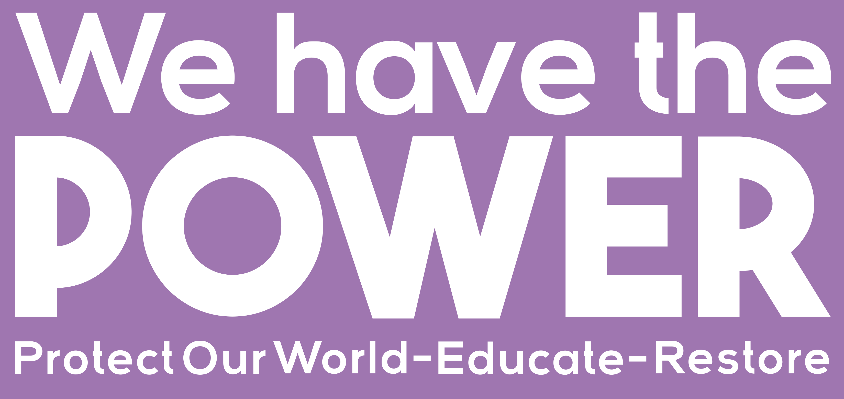 Bowden Pillars Future